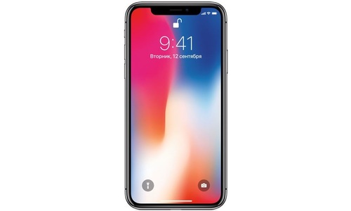 Смартфон Apple iPhone X 256Gb восстановленный FQAF2RU/A (NFC) (Цвет ...